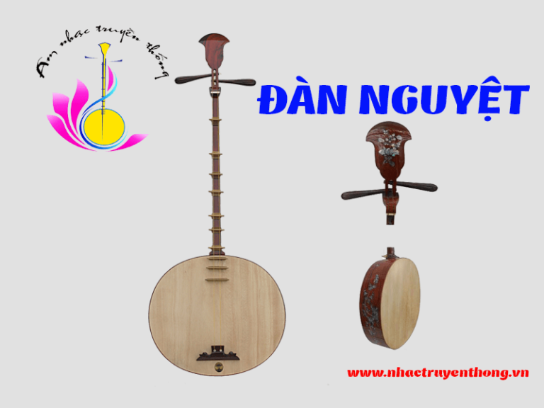 NHỮNG ĐIỀU CƠ BẢN CẦN BIẾT VỀ ĐÀN NGUYỆT