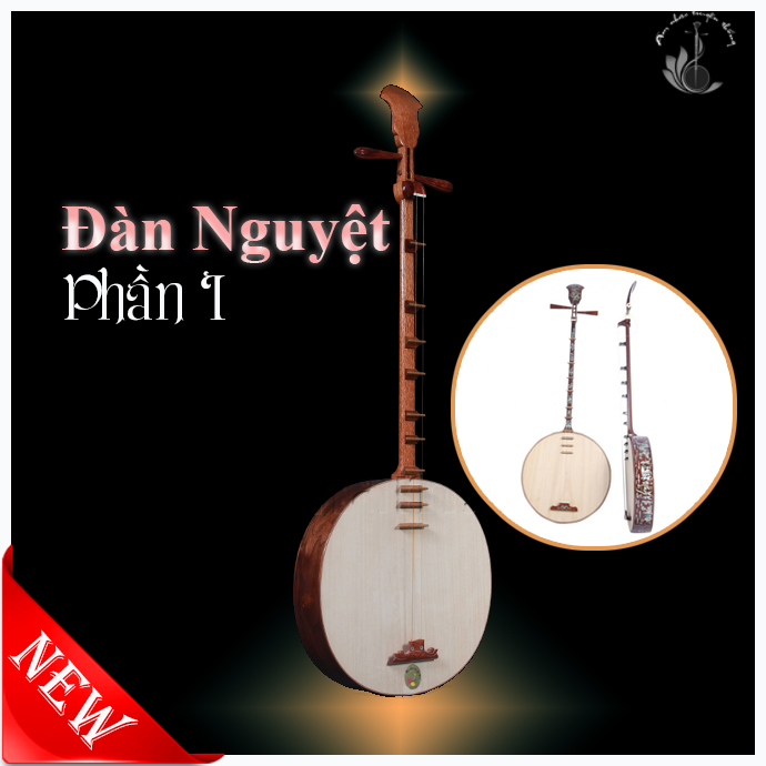 NHỮNG ĐIỀU CƠ BẢN CẦN BIẾT VỀ ĐÀN NGUYỆT