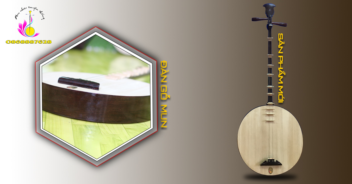 Nguồn Gốc Đàn Nguyệt